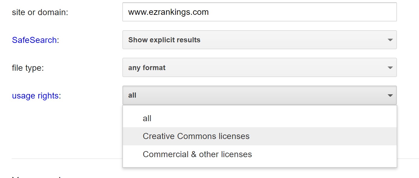 Google Advanced Image Search - A Complete Guide